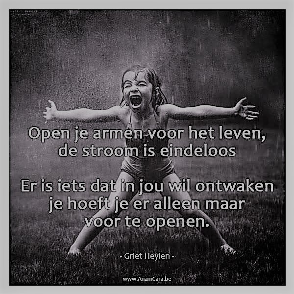 Ontdek je schat :: freeyoursoul
